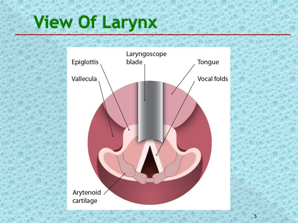 Laryngoscopy – Overview, Purpose, Procedure, Types, And Complications